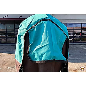 HILASON 1200D Turnout Light Winter Waterproof Rain Sheet Horse Sheet | Horse Sheet | Horse Turnout Sheet | Horse Sheets for Winter | Waterproof Turnout Sheets for Horses