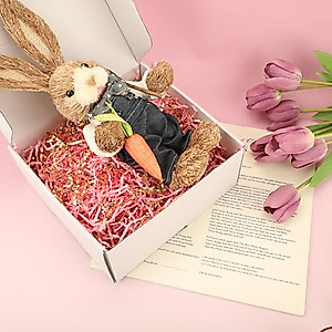 TCAIRG - 2 LB - Gold & Pink - Mixed Color Shred Filler Crinkle Cut Paper for luxury Gift Box Filler Gift Basket Stuffing Shipping Packaging Craft Party Favor Bags (Gold & Pink)