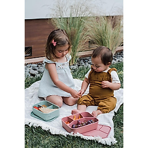 Spoondrift 100% Food Grade Eco-Friendly Leak-Proof Silicone Bento Box Lunchbox, For Child And Adult, 4 Compartment, Choose from 6 Colors, Includes 1 Box (Dark Pink)