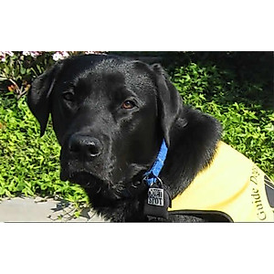 Quiet Spot Pet Tag Silencer (Pink)