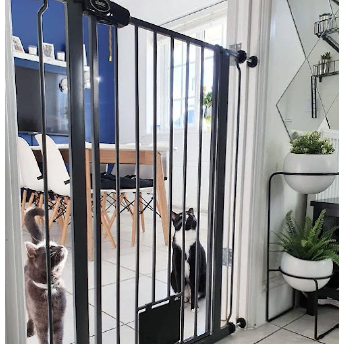 Bettacare Gate with Lockable Cat Flap Matt Black 75cm - 84cm