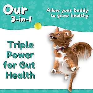 Ol Nelly Prebiotic & Probiotic Dog Probiotic Paste, 6 Strains of Bacteria,18 Bi CFU's + Vitamins, Minerals- Upgraded Formula for Fast Balance GI, Dogs Probiotic Paste (14 g)