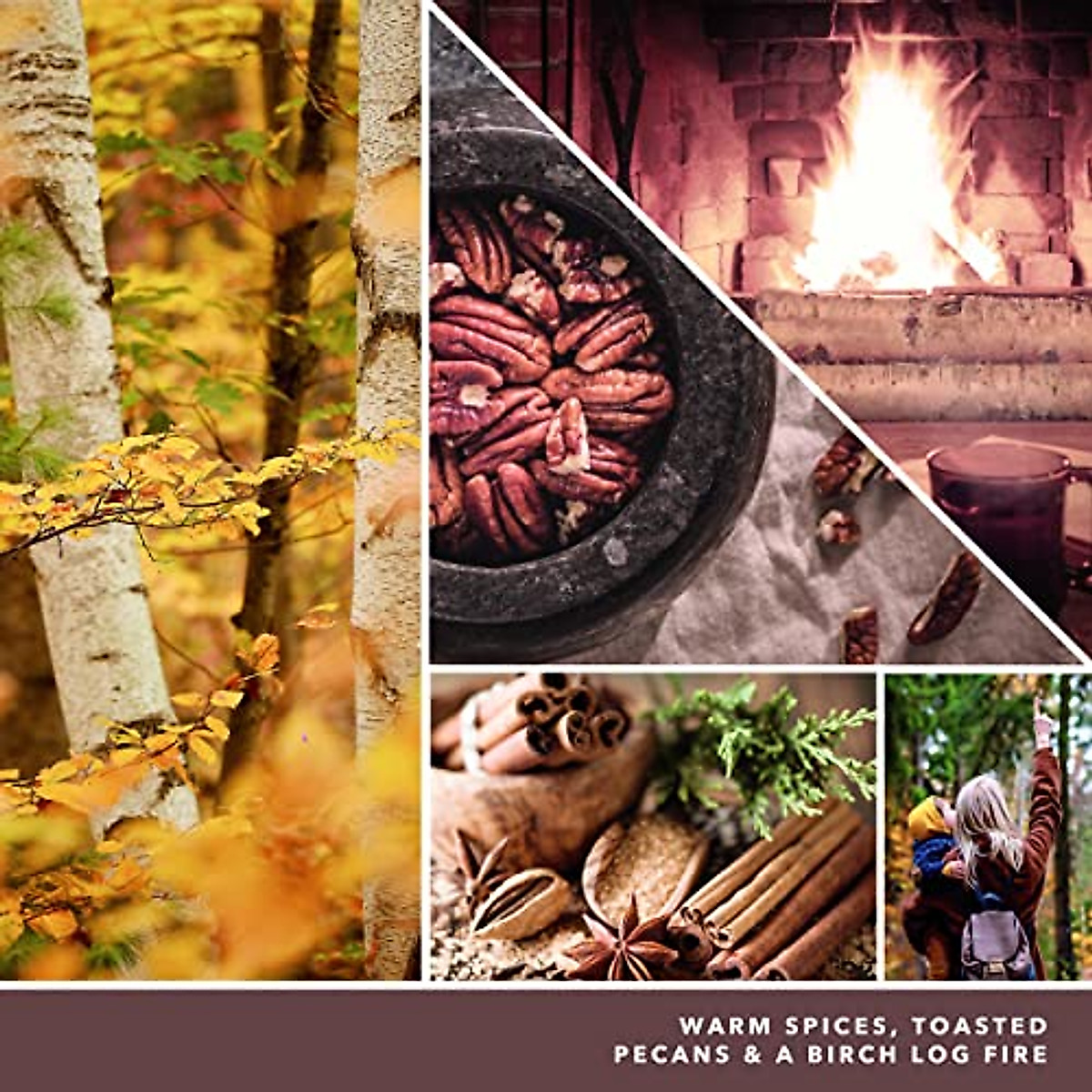 Yankee Candle Praline & Birch Signature Medium Pillar Candle, 14.25oz