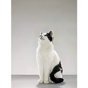 I LOVE MY PETS LLC cat Mineral Supplement - Ultra Vitamins - CAT Health - Mineral Boost - Vitamin d for Cats - 90 Treats (1 Bottle)