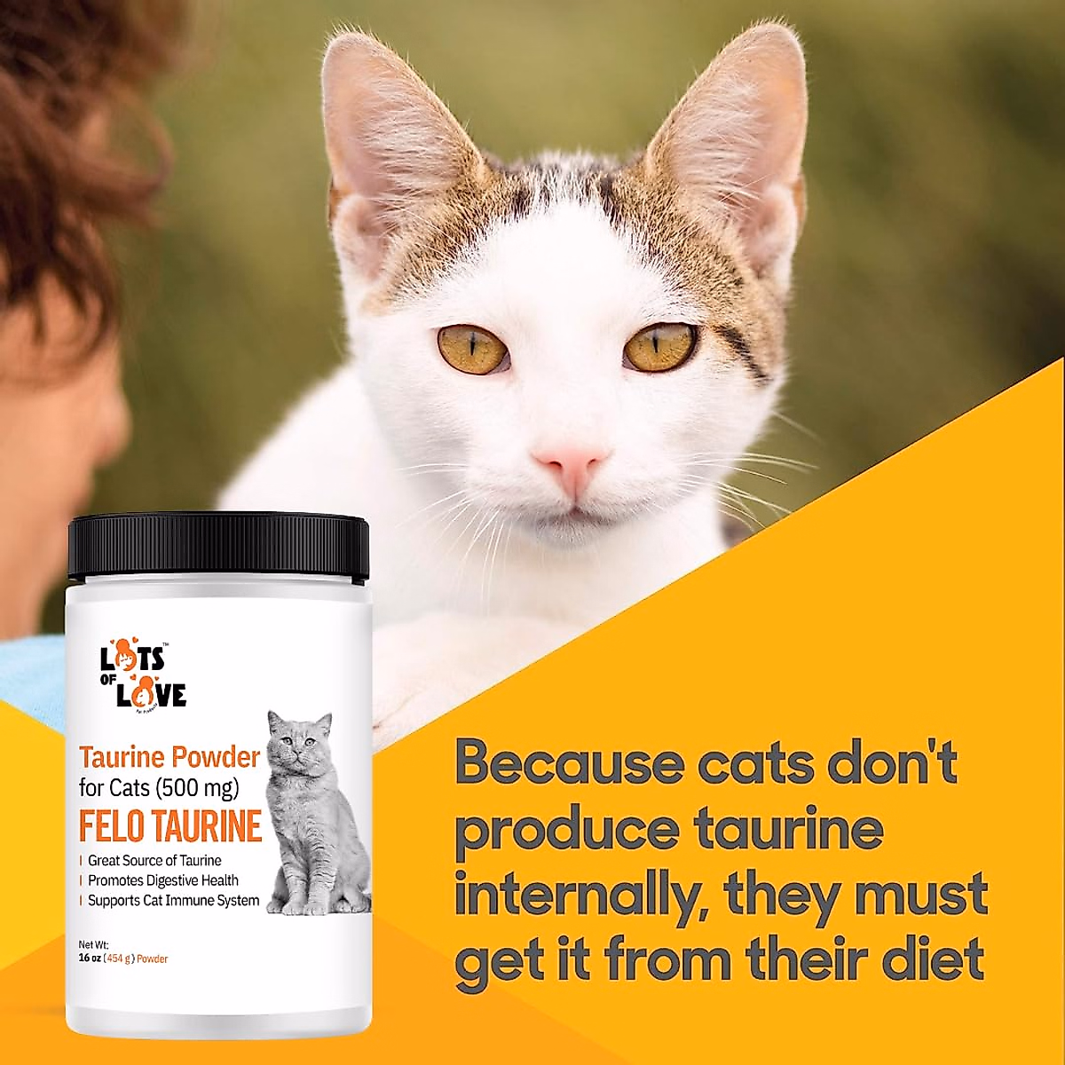 FELO Taurine - Taurine Supplement for Cats, Taurine for Cats, Taurine Powder for Cat - 16 Oz, Powder (Thomas Pet Earlier)