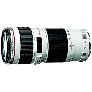 Canon EF 70-200mm f/4 L is USM Lens for Canon Digital SLR Cameras