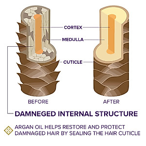 Desert Beauty Argan Oil, 4 oz, Hair Oil Treatment for Dry Damaged Hair, Leave-in Conditioner, Hydrating, Strengthens, Natural, Cruelty Free