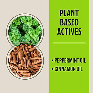 Grandpa Gus's Rodent Repellent Spray with Sprayer, Natural Peppermint & Cinnamon Oils Repel Mice and Stop Rats & Squirrels, 1 Gallon (Pack of 1)