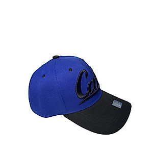 Embroidered Mens Womens Cap HAT Curved Bill Baseball California Republic Bear Blue