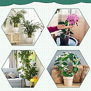 Zopeal 10 Pcs Small Metal Trellis for Potted Plants 15.7 Inch Gold Trellis Stackable Plant Support Stakes for Garden Climbing Houseplants Indoor Outdoor Monstera Flowers Hoya