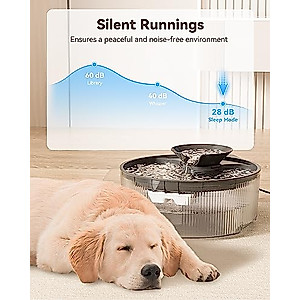 Dog Water Fountain Dispenser for Large Dogs - Automatic Bowl Cat Fountain Inside - Big 168oz/5L with 3 Replacement Filters - Grey (NR-5L-3+3)