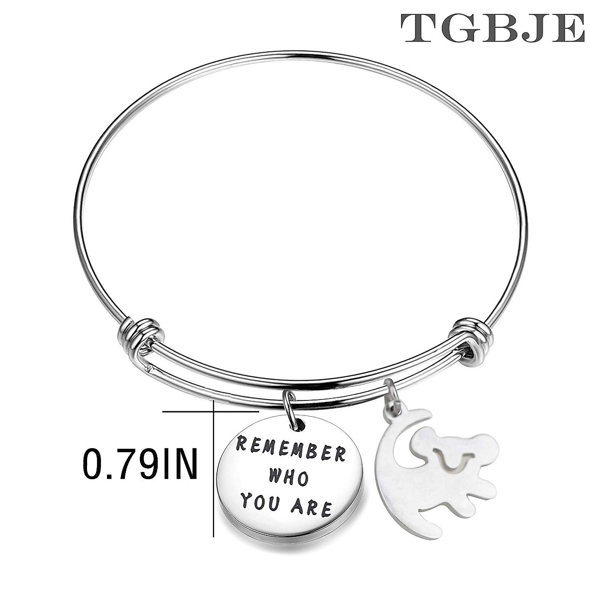 TGBJE Remember Who You Are Bracelet Inspired Bangle Lion King Gift for Friend (Lion King bangle)