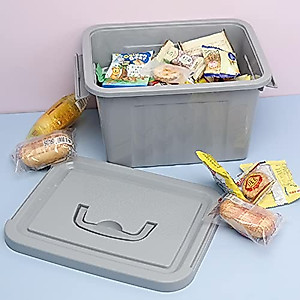 Readsky 6 Quart Plastic Storage Box, Latching Boxes with Handles, 6-Pack