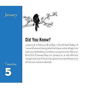 Dumb Birds of North America 2021 Daily Calendar: (One Page a Day Calendar of Funny Bird Facts, Humor Daily Calendar about Birds with Bird Artwork)