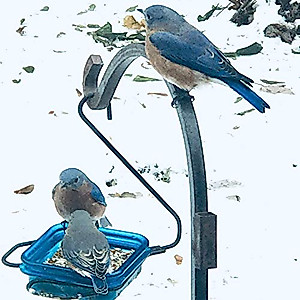 Amzey Dried Mealworms 1 LB, 100% Natural for Chicken Feed, Bird Food, Fish Food, Turtle Food, Duck Food, Reptile Food, Non-GMO, No Preservatives, High Protein and Nutrition, Zipped Bag