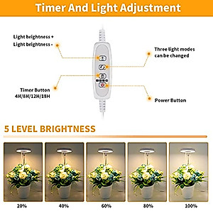 GooingTop LED Grow Light, Halo Plant Lamp for Indoor Plants Growing, White Circle Low Light for Bonsai Succulents Mini Small Plants,Upgrade Timer 4/8/12/18 Hrs (with USB Plug)