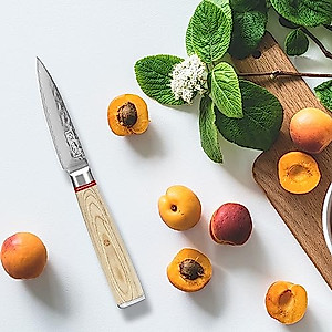 Qulajoy Paring Knife - Japanese Paring Knife with VG10 Damascus Steel, Ultra Sharp 3.5 inch Fruit and Vegetable Knife, Ergonomic Wood Handle