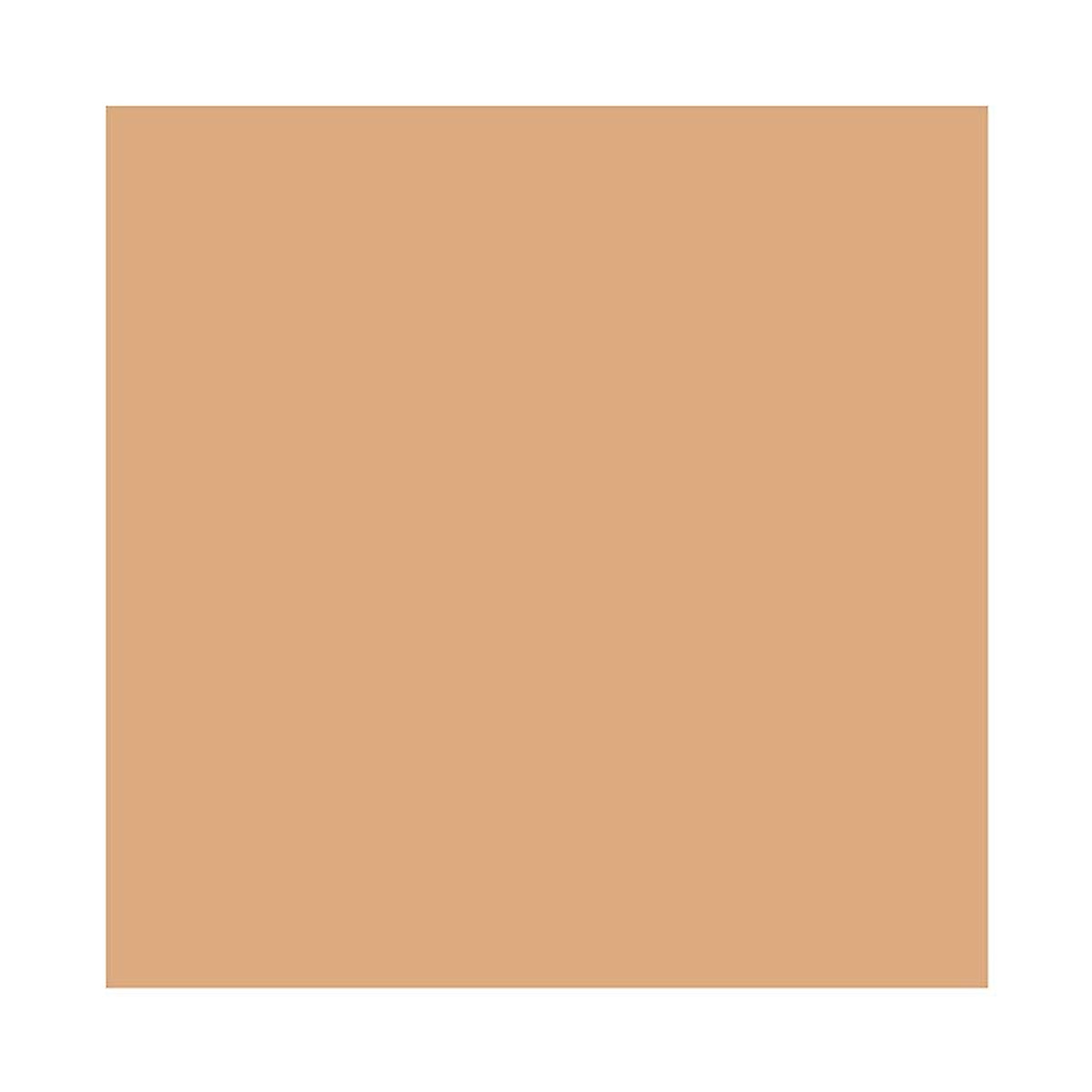 Dior Backstage Airflash Spray Foundation 301 Sand (Light to Medium: Warm Yellow Undertone)