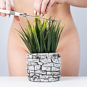 Coochy Intimate Shaving Cream | Shave Conditioner & Moisturizer for Face & Body | Ideal for Sensitive Skin Care, Anti-Bump | Island Paradise, 32 oz