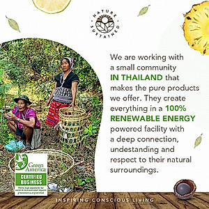 Nature Sustained Natural Shampoo - Organic, Raw & Wildcrafted with Probiotics, Hypoallergenic Natural & Sulfate Free Shampoo for Sensitive Scalp, Dry Hair, Dandruff, Eczema & Psoriasis, 9oz, Original