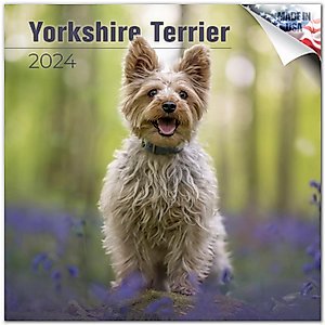 2023 2024 Yorkshire Terrier Calendar - Dog Breed Monthly Wall Calendar - 12 x 24 Open - Thick No-Bleed Paper - Giftable - Academic Teacher's Planner Calendar Organizing & Planning - Made in USA