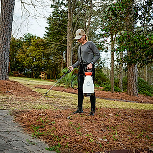 Husqvarna 2 Gallon Battery Handheld Sprayer