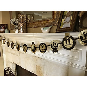 Zocakee Mr Onederful Birthday Decorations,First Year Monthly Photo Banner, Baby Shower Picture Banner