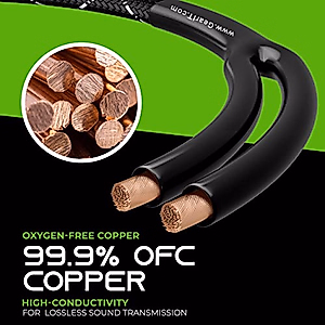 GearIT 14AWG Premium Heavy Duty Braided Speaker Wire Cable (6 Feet) Dual Gold Plated Banana Plug Tips - in-Wall CL2 - Oxygen-Free Copper (OFC) Black