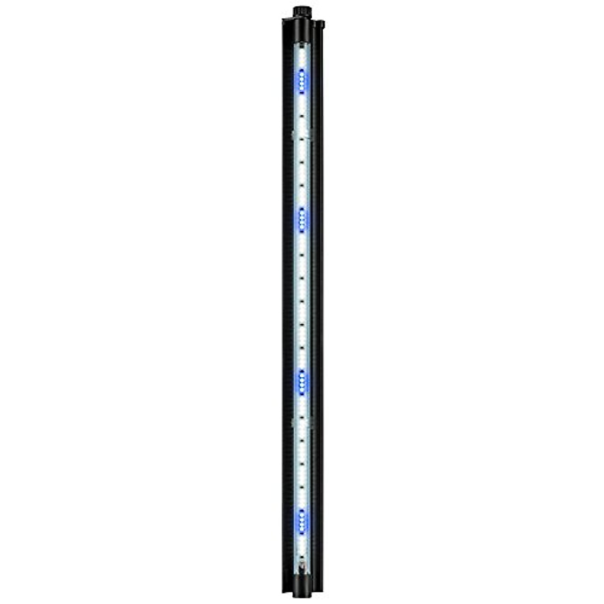 MarineLand Hidden LED Strip Light for Aquariums, White and Blue LEDs 21-Inch