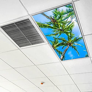 Fluorescent Light Covers for Classroom Office - Eliminate Harsh Glare Causing Eyestrain and Headaches. School-Office-Indoor Ceiling Lamp DecorationCoconut Palm Tree Blue Sky