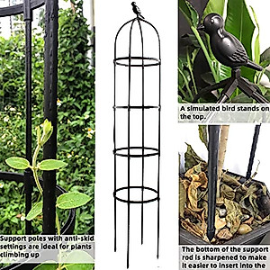 Anothera 6ft Rustproof Metal Pipe with Heavy Duty Plastic Coated, Garden Outdoor Indoor Potted Plant Support, Round Obelisk Trellis for Climbing Vine（Black）