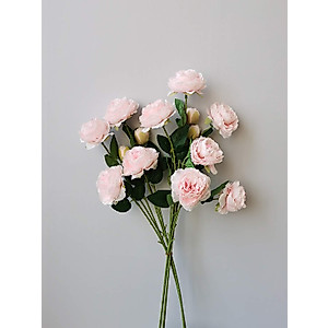 Artfen 5 Pcs Artificial Silk European Rose Flower Peony Flower Long Stem Fake Plastic Flowers Home Garden Party Wedding Decoration DIY Wreath Approx 26'' High Champagne Pink