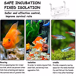 ATPWONZ Fish Breeding Box, Acrylic Fish Isolation Box Aquarium Hatchery Incubator with Suction Cups for Newborn Fry Shrimp Guppy Clownfish Aggressive Fish, 11.5" x 6" x 6"