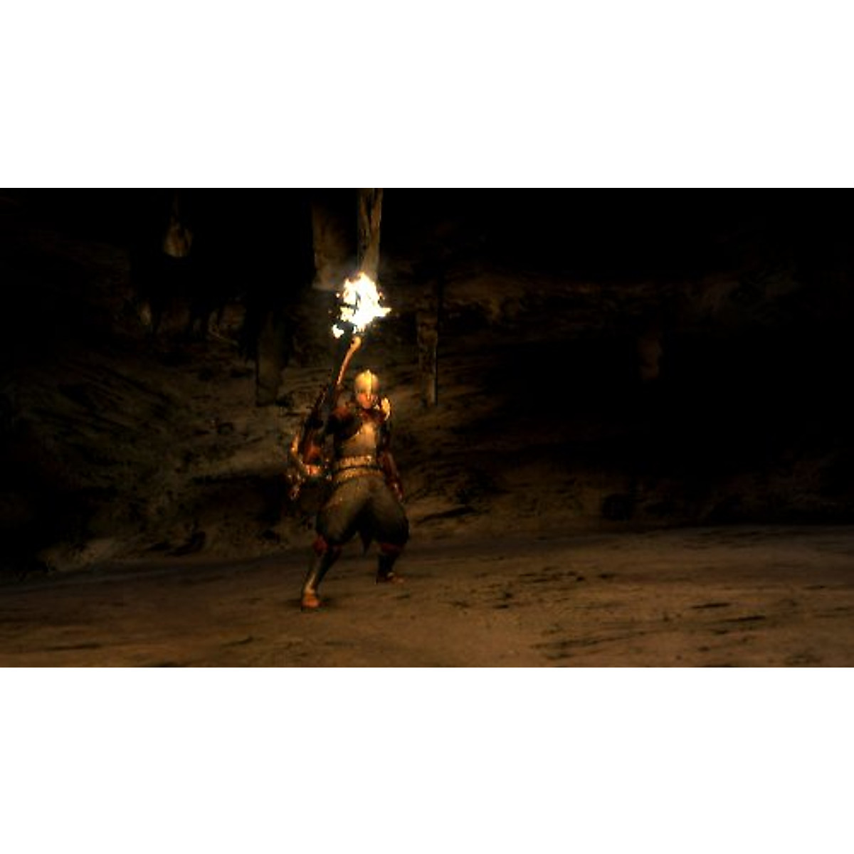 Monster Hunter Tri - Standard