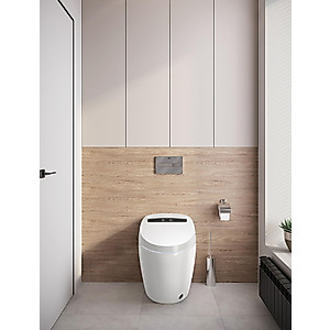 LDian Tankless Smart Toilet With Bidet Built In,Heated Toilet Seat One-piece Bidet Toilet Seat, Auto Flush, Auto Open & Auto Close, Warm Water and Dryer, Wireless Remote Control