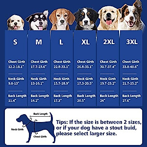 Fragralley Dog Winter Coat Jacket - Reflective Adjustable Windproof Dog Turtleneck Clothes, Doggie Cold Weather Vest, Warm Fleece Lining Puppy Snow Coat for Small Medium Large Dogs (Medium, Blue)