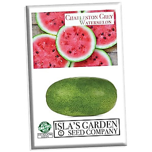 Charleston Grey Watermelon Seeds for Planting, 30+ Heirloom Seeds Per Packet, (Isla's Garden Seeds), Non GMO Seeds, Botanical Name: Citrullus lanatus, Great Home Garden Gift