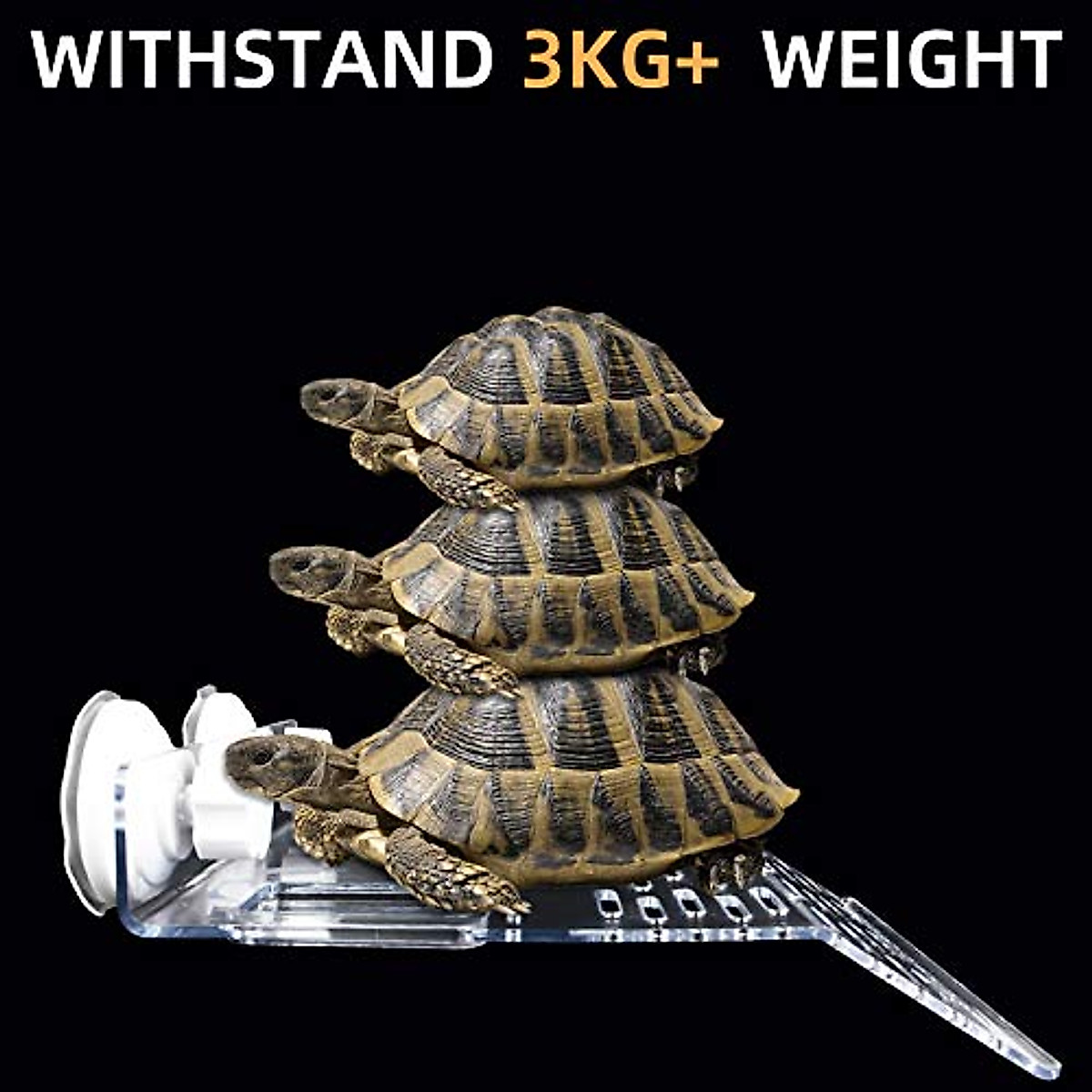 Turtle Basking Platform, Turtle Tank Platform Aquarium Animal Transparent Sink Wharf, Reptile Habitat, Climbing shelf Turtle Tank Dock Floating Decor with Sucker Cap