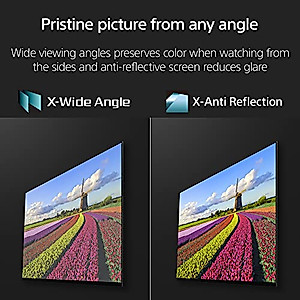 Sony 65 Inch Mini LED 4K Ultra HD TV X93L Series: BRAVIA XR Smart Google TV with Dolby Vision HDR and Exclusive Features for The Playstation® 5 XR65X93L- 2023 Model,Black