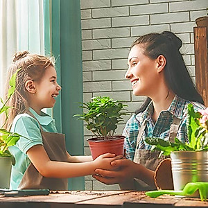 Delxo 50 Pcs 6 Inch Plants Nursery Pots Reusable Plant Seeding Nursery Pot Waterproof Plastic Pots Seed Starting Pots