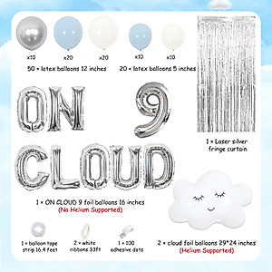 Fangleland On Cloud 9 Birthday Decorations for Girls, Baby Blue Balloons Garland Kit Fringe Curtains for Nine Year Old Girl, Bride On Cloud 9 Balloons for 9th Birthday Party Supplies