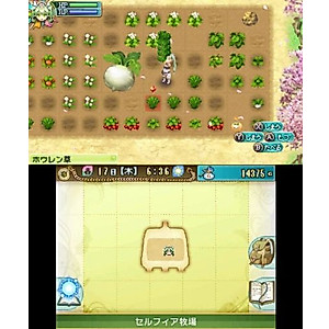 Rune Factory 4