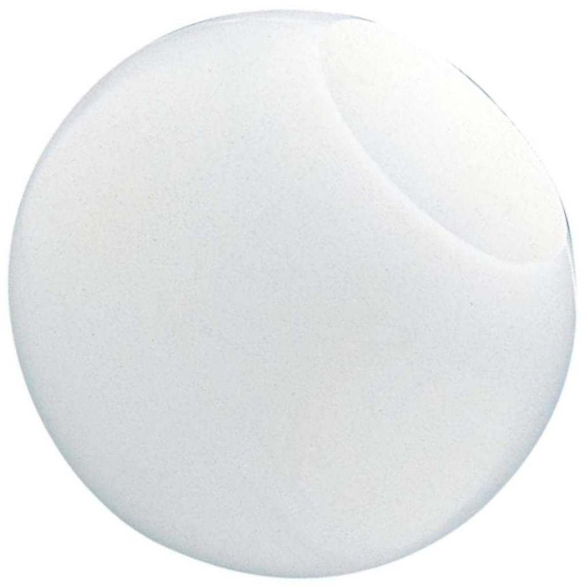 Westinghouse 12 in. White Acrylic Neckless Globe
