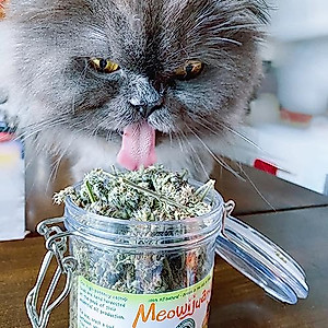 Meowijuana | Dried Premium Catnip Buds | Organic | High Potency Cat Treats | Perfect for Cat Toys | Grown In the USA | Feline and Cat Lover Approved