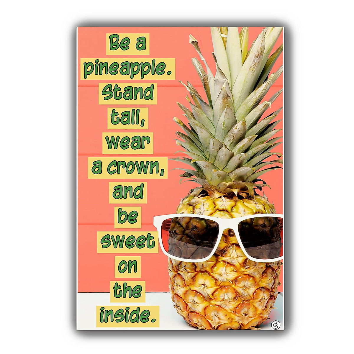 Inspirational Pineapple Magnet for Refrigerator Locker Toolbox Car White Board Ammo Can - 4 x 6 Inches - Be A Pineapple - KCM0158