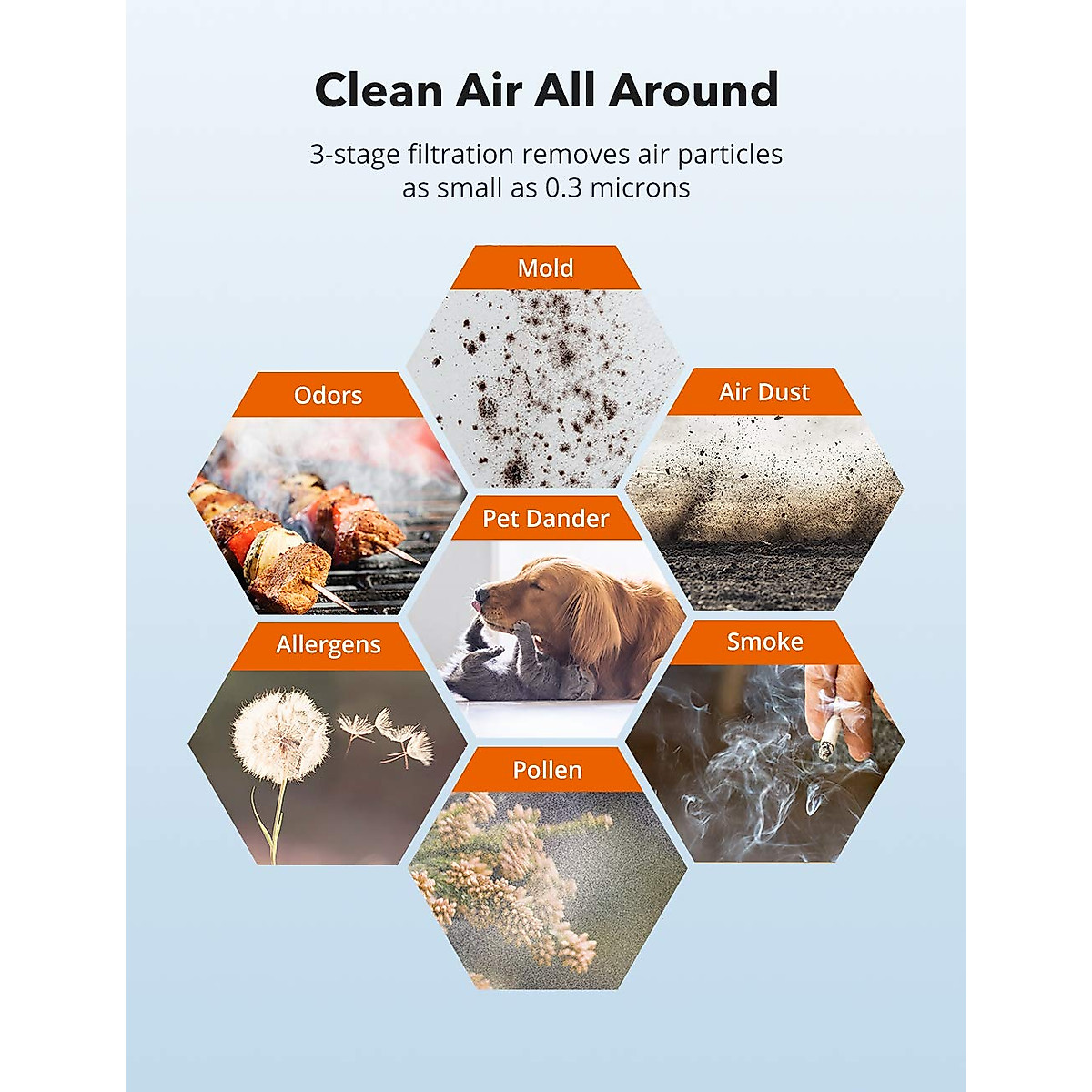 HEPA H13 Air Purifier for Home, Allergies Smoke Pollen Pets, Home Air Cleaner Filtration System, Odors Dust, Sleep Mode Timer Auto Mode