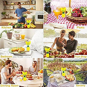 Fruit Fly Traps with 24Pcs Sticky Pads,Gnat Traps with Bait Non-Toxic Fruit Fly Traps for Indoors Outdoor Odorless Safe Fly Catcher Gnat Fruit Flies Trap Fly Insect Trap for Plant House Kitchen,4 Pack