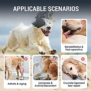 Dog Knee Brace Support for Torn ACL Leg, Dog Hip Dysplasia Brace, Full Body Fixation Ensures Stability, Dog Knee Braces Relieve Aching Muscles and Reduce Joint Pain and Inflammation (Size:L)