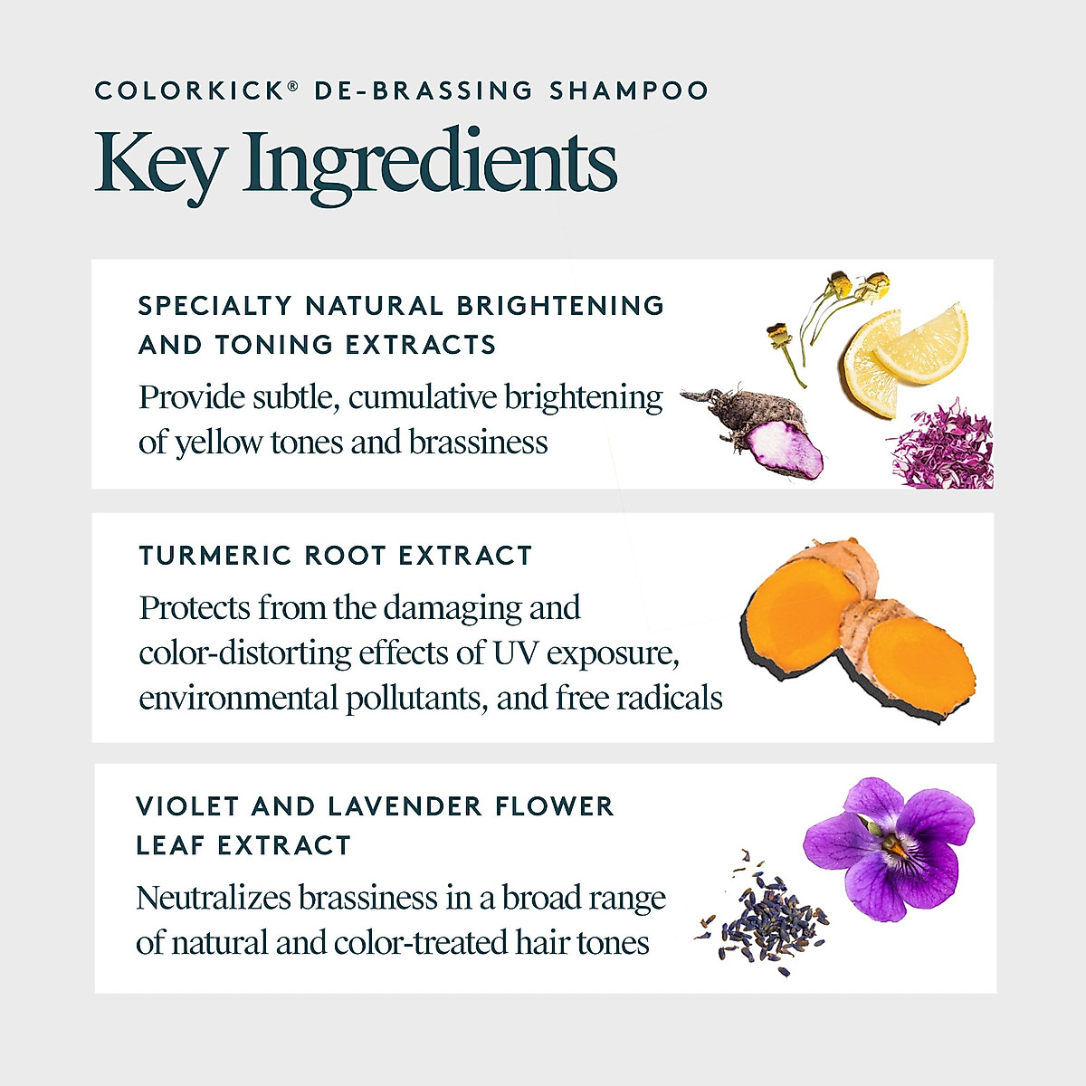 VIRTUE De-Brassing Shampoo, Natural Color Toner, Brightens and Revitalizes All Color-Treated Hair, ColorKick, 8 Fl Oz