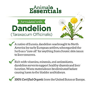 Animal Essentials Liver Defense Liver Support for Dogs & Cats, 1 fl oz - Made in USA, Dandelion & Milk Thistle